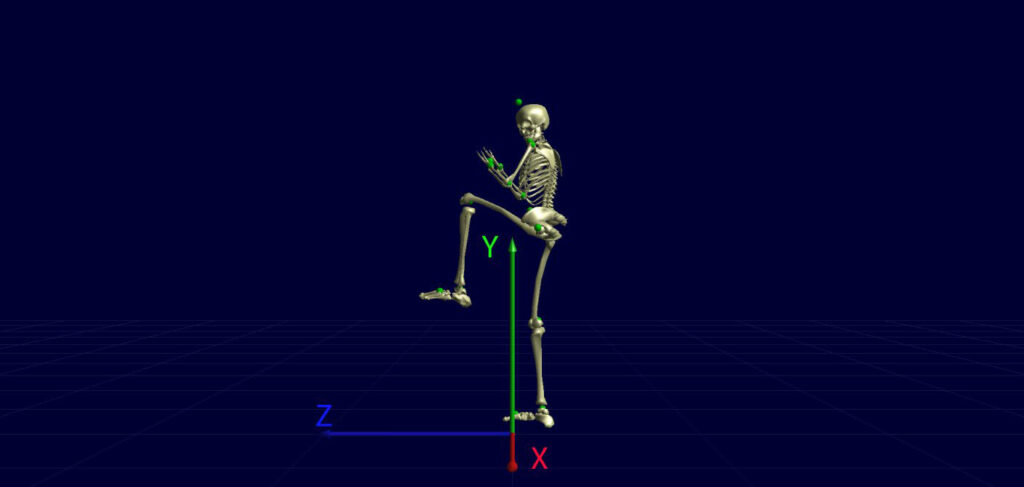 Global Coordinates and Anatomical Planes – Bio-Kinetics Research ... Global Coordinates and Anatomical Planes – Bio-Kinetics Research ...